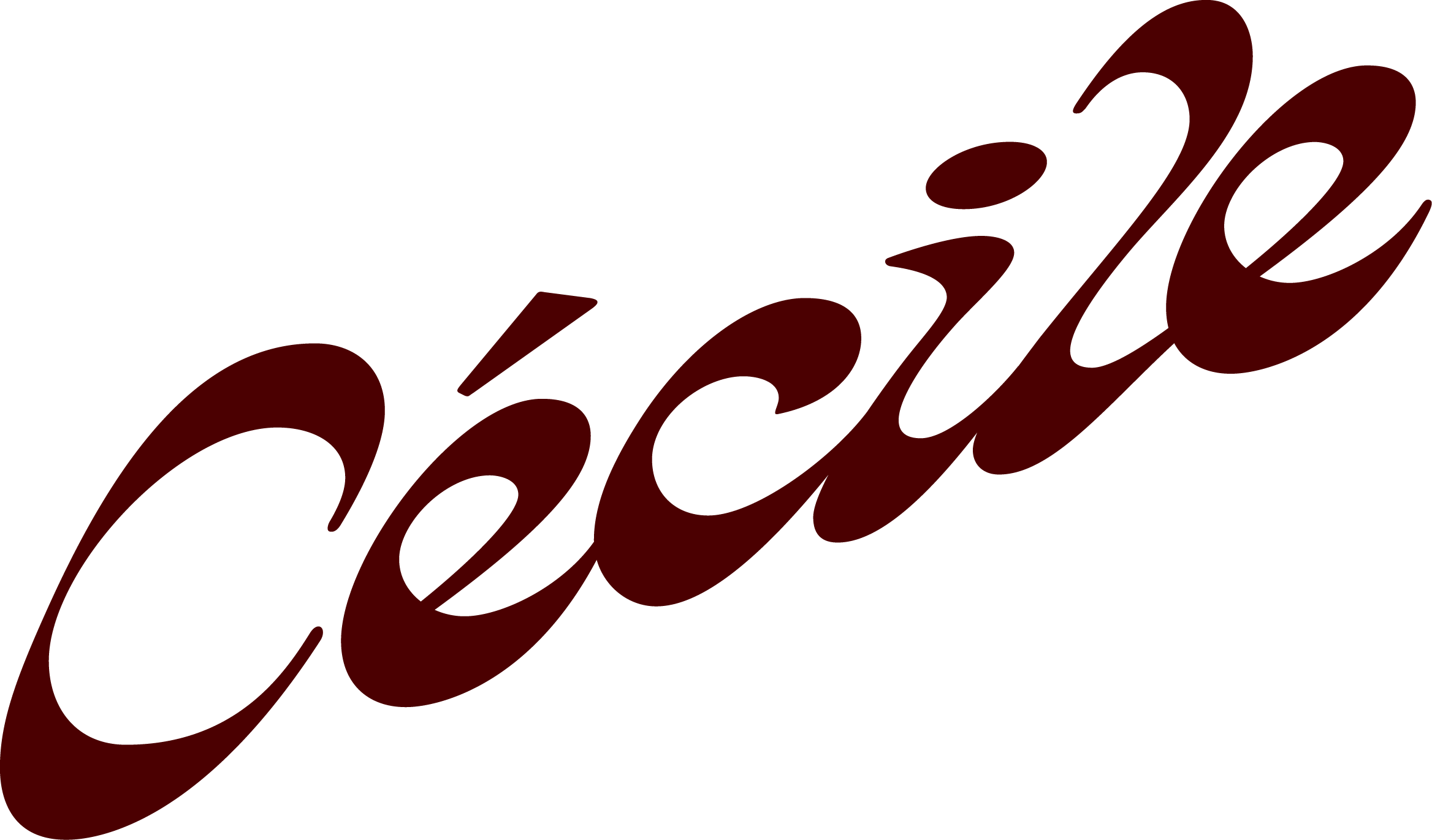 RÔTISSERIE CHEZ CÉCILE